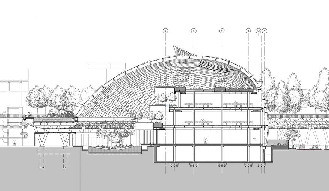 STEEL GRID SHELL - Issuu