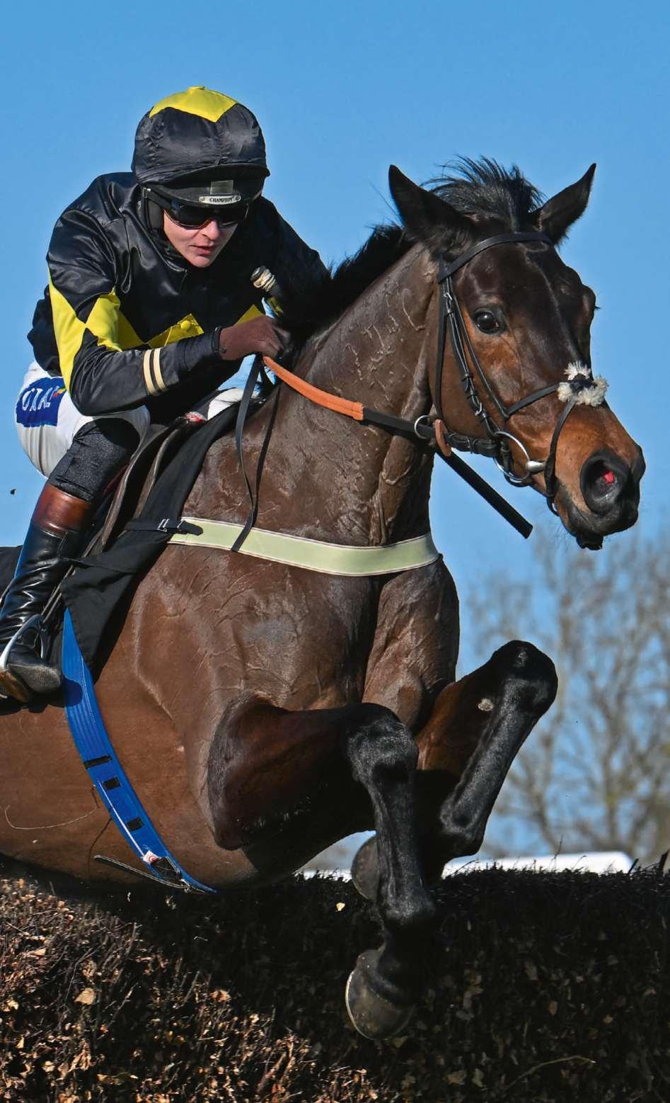 Huntingdon Racecard - Thursday 23rd February by Weatherbys - Issuu