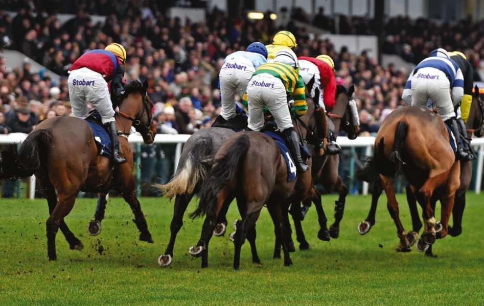 Huntingdon Racecard - Thursday 23rd February by Weatherbys - Issuu