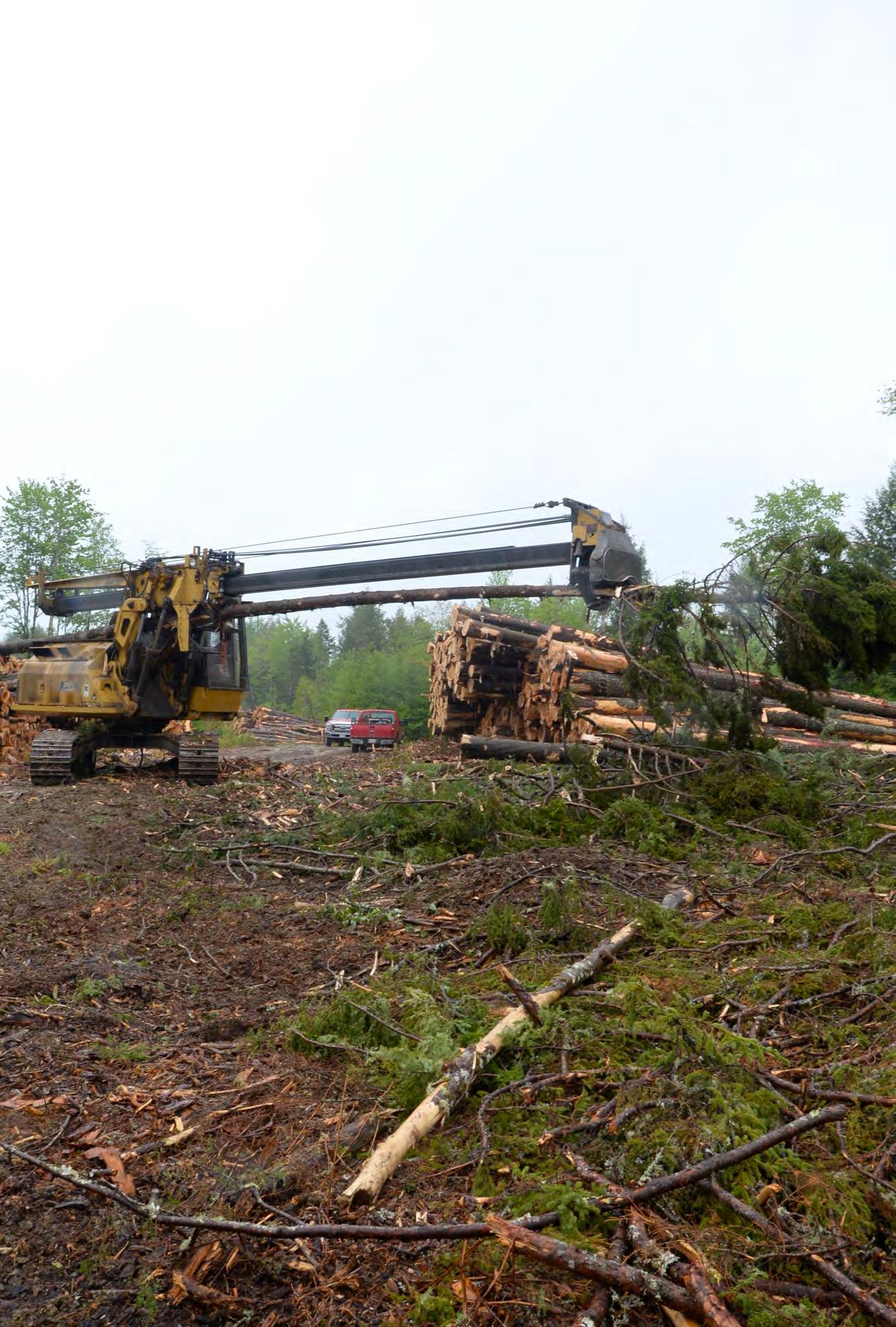 The Logger's VOICE - Summer 2018 by Professional Logging Contractors of ...