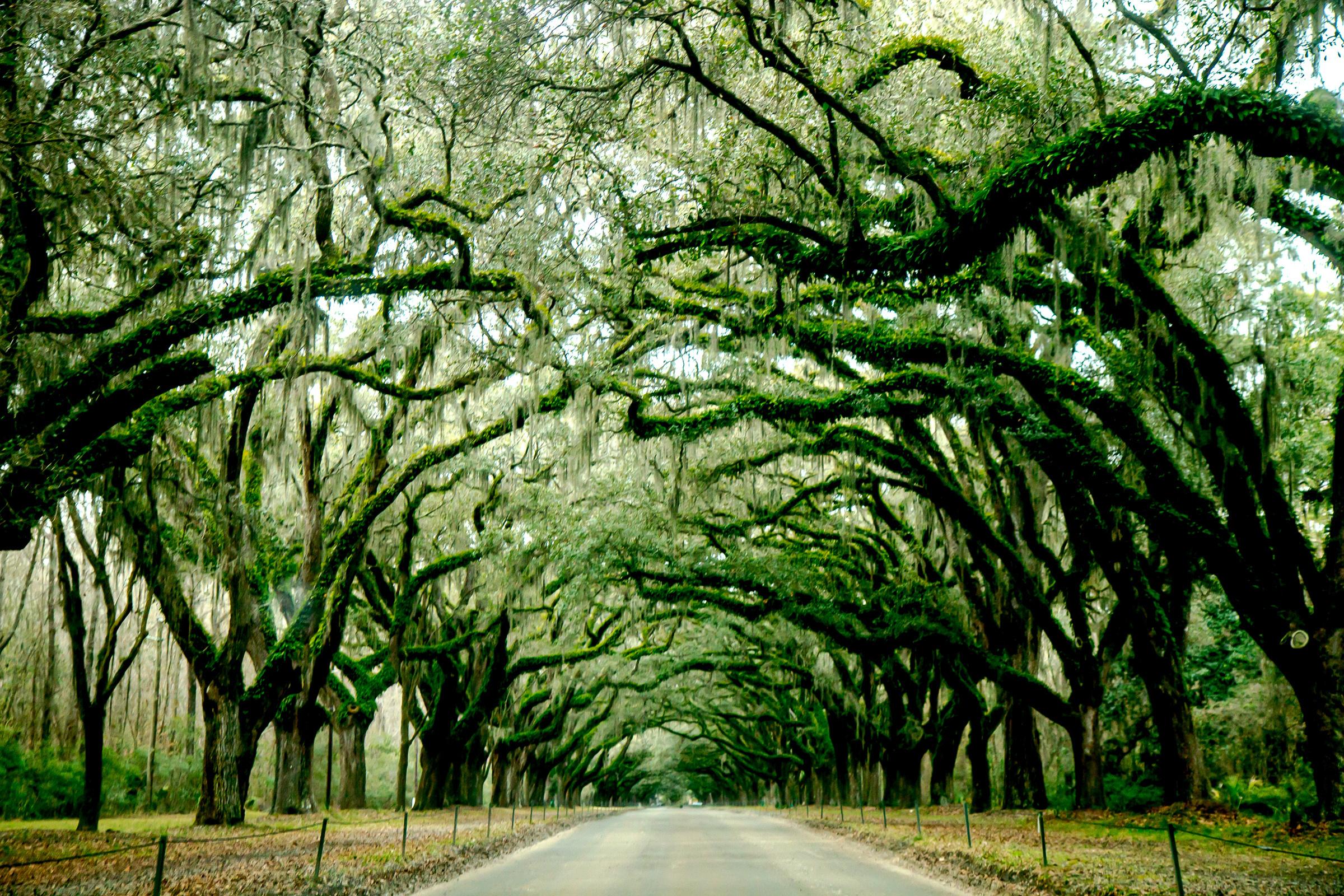 Savannah Student Work 2023 by Photographers Breakthrough - Issuu