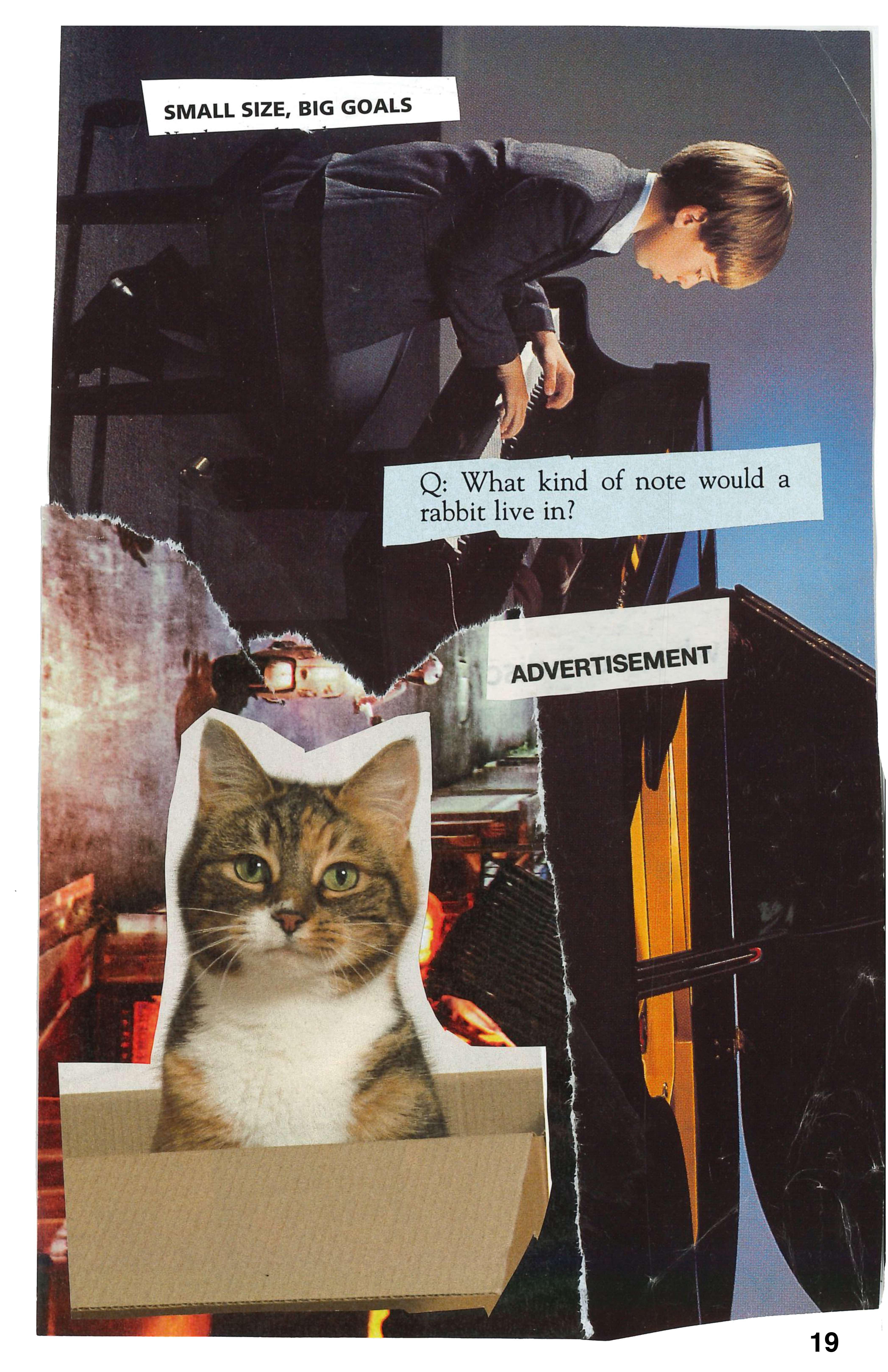 Pagination - Issue Two by windsorpubliclibrary - Issuu