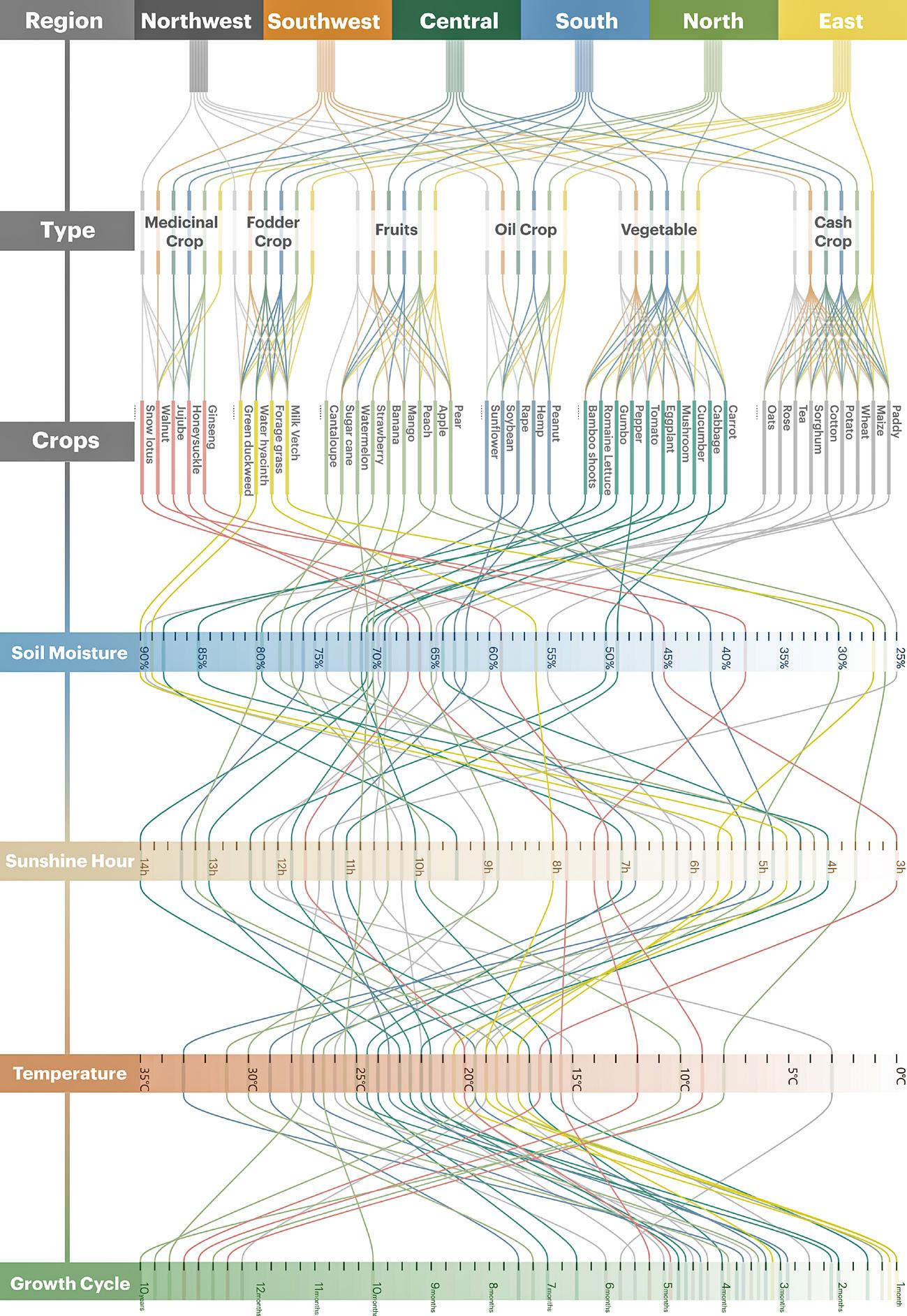 Application for MArch Architectural Design at UCL by 严千辰 - Issuu