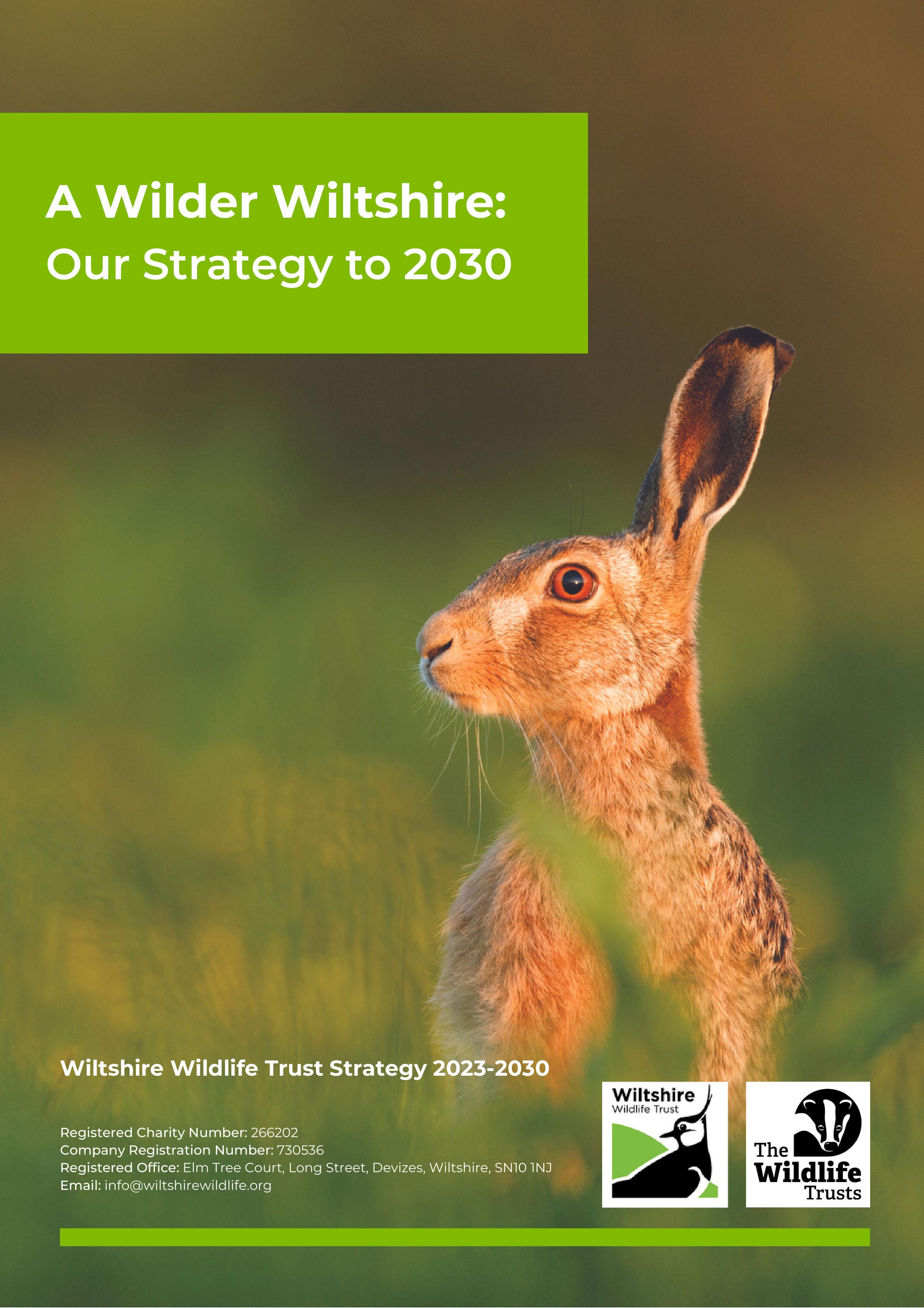 Wiltshire Wildlife Trust Strategy 2023-2030 by wiltswildlife - Issuu
