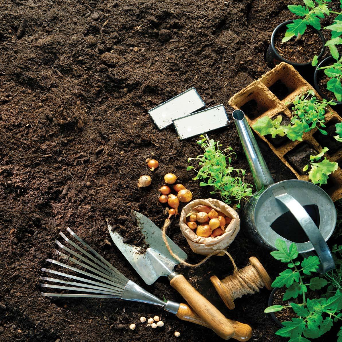 Living Local Spring, from Minnesota Grown by minnesotagrown - Issuu