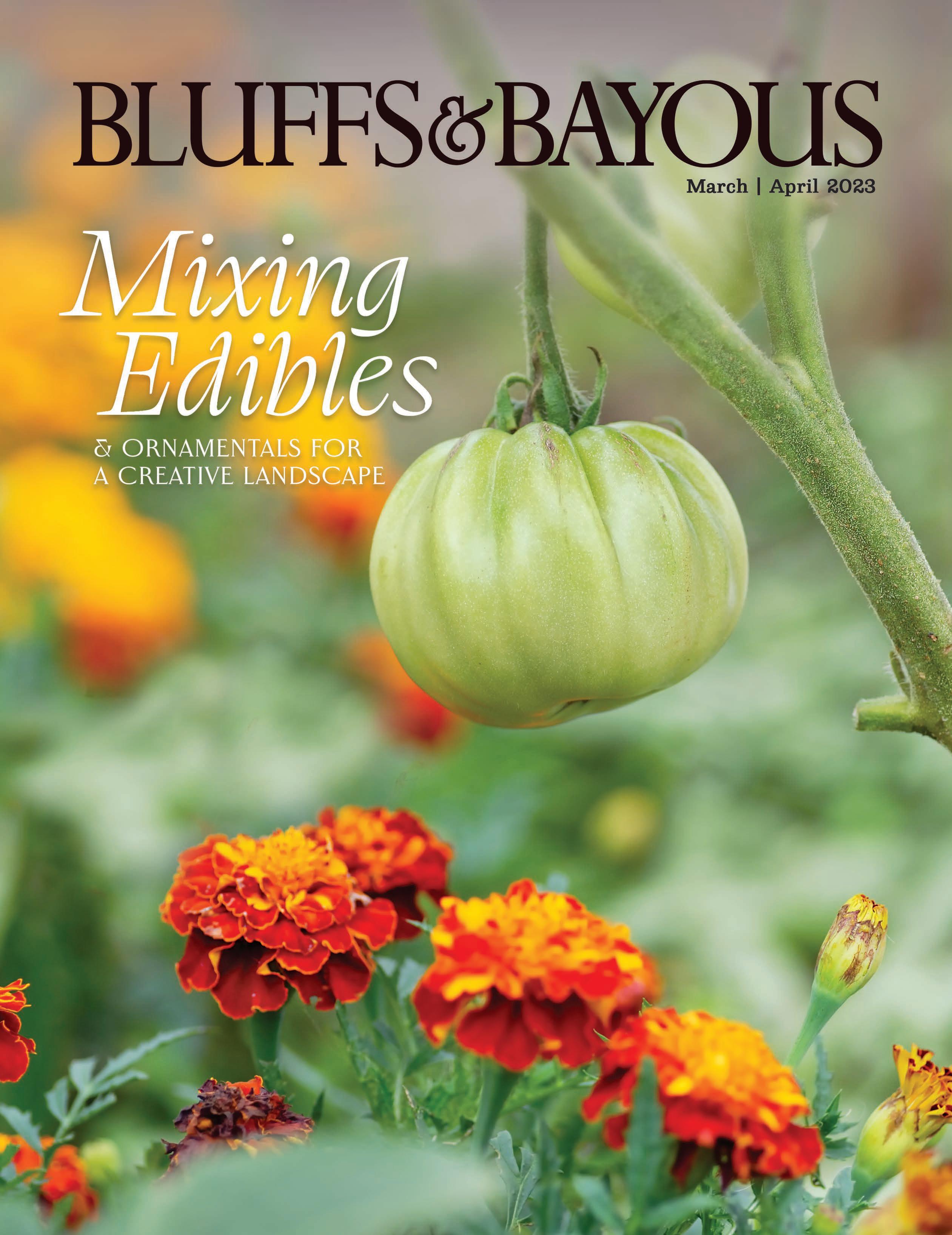 Bluffs & Bayous Mar/Apr 2023 by Bluffs & Bayous Magazine - Issuu