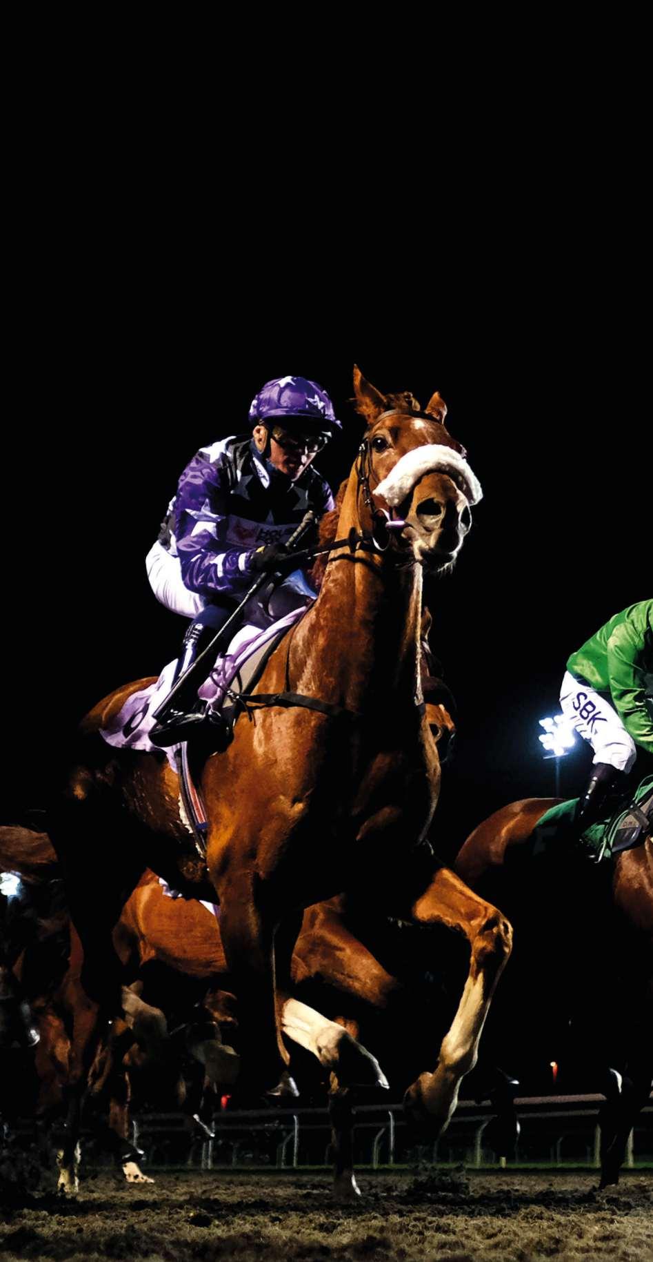 Kempton Park Racecard - Wednesday 1st March by Weatherbys - Issuu