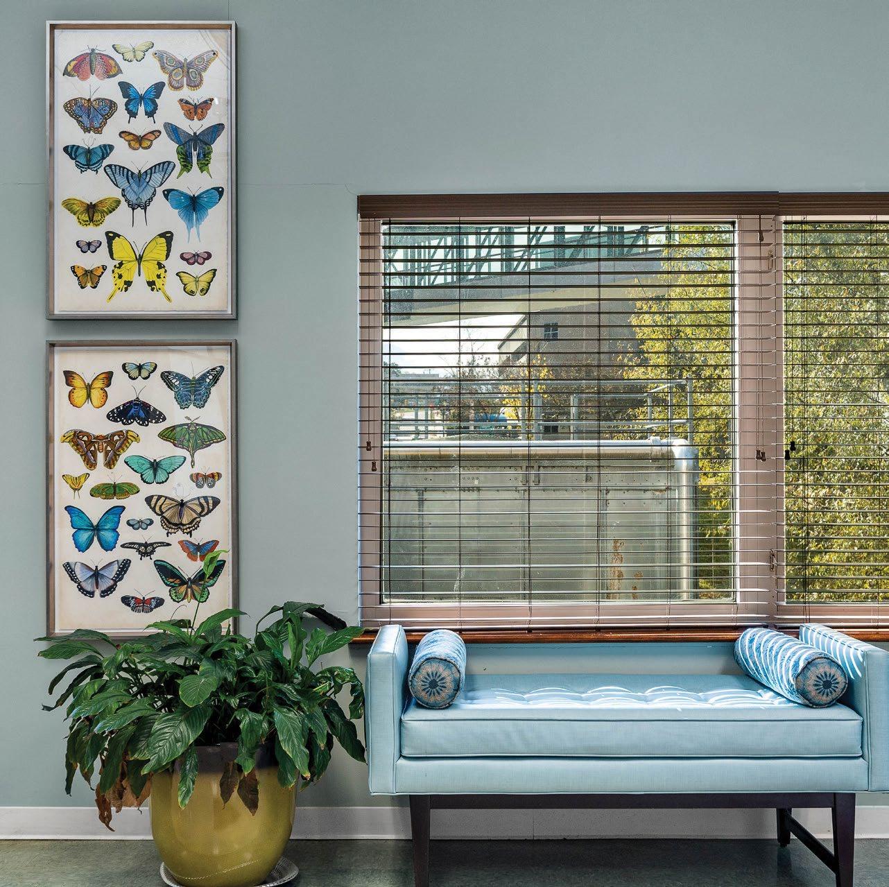 CityScope Magazine Spring 2023 by CityScope & HealthScope Magazines - Issuu