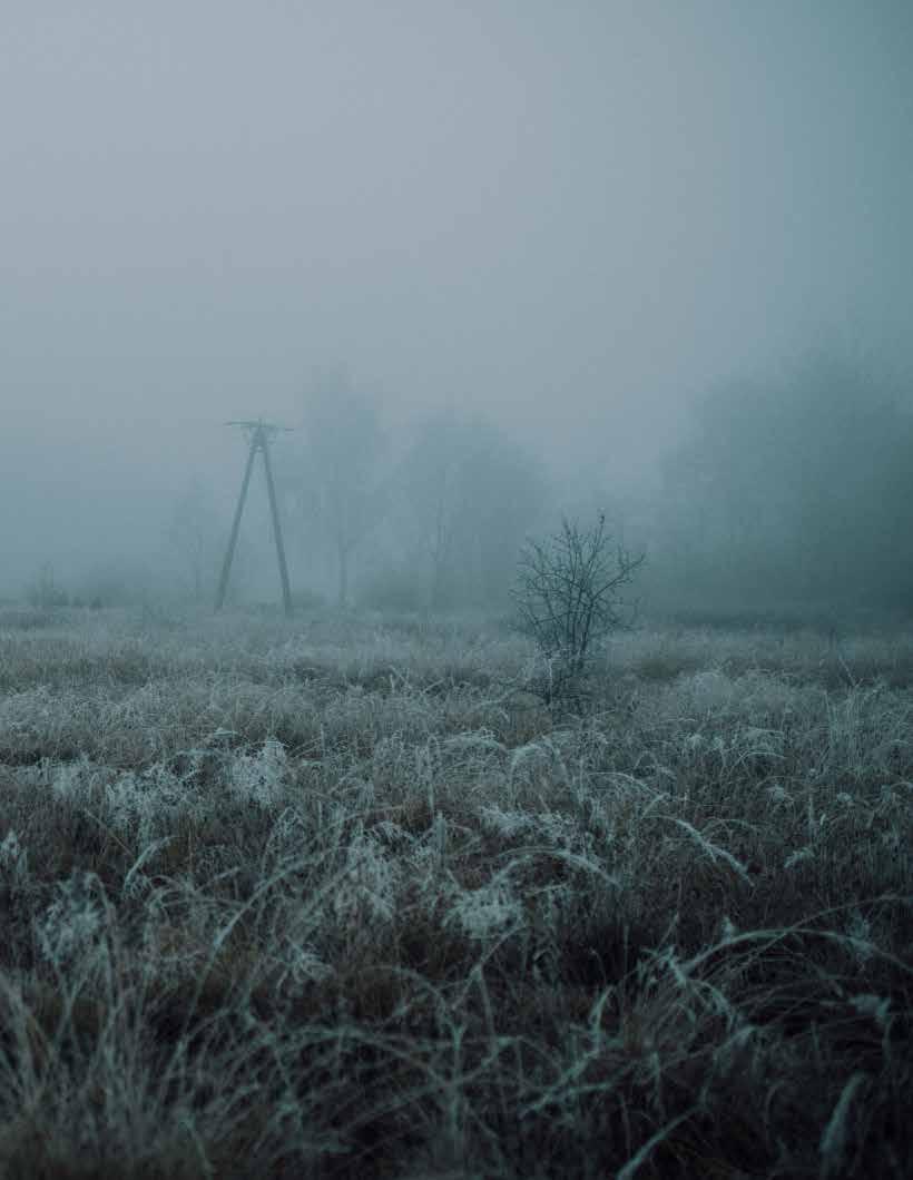 North Point Angus Bull Sale 2023 by KendraFisherDESIGNS - Issuu