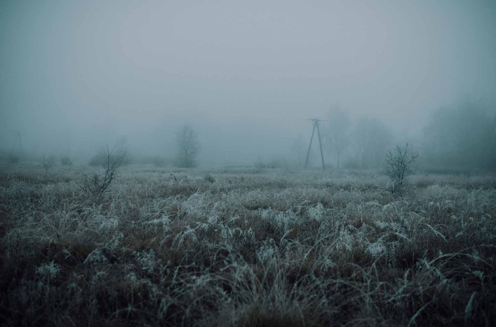 North Point Angus Bull Sale 2023 by KendraFisherDESIGNS - Issuu