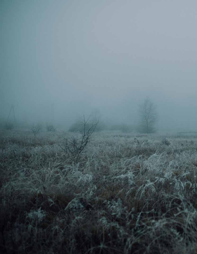 North Point Angus Bull Sale 2023 by KendraFisherDESIGNS - Issuu