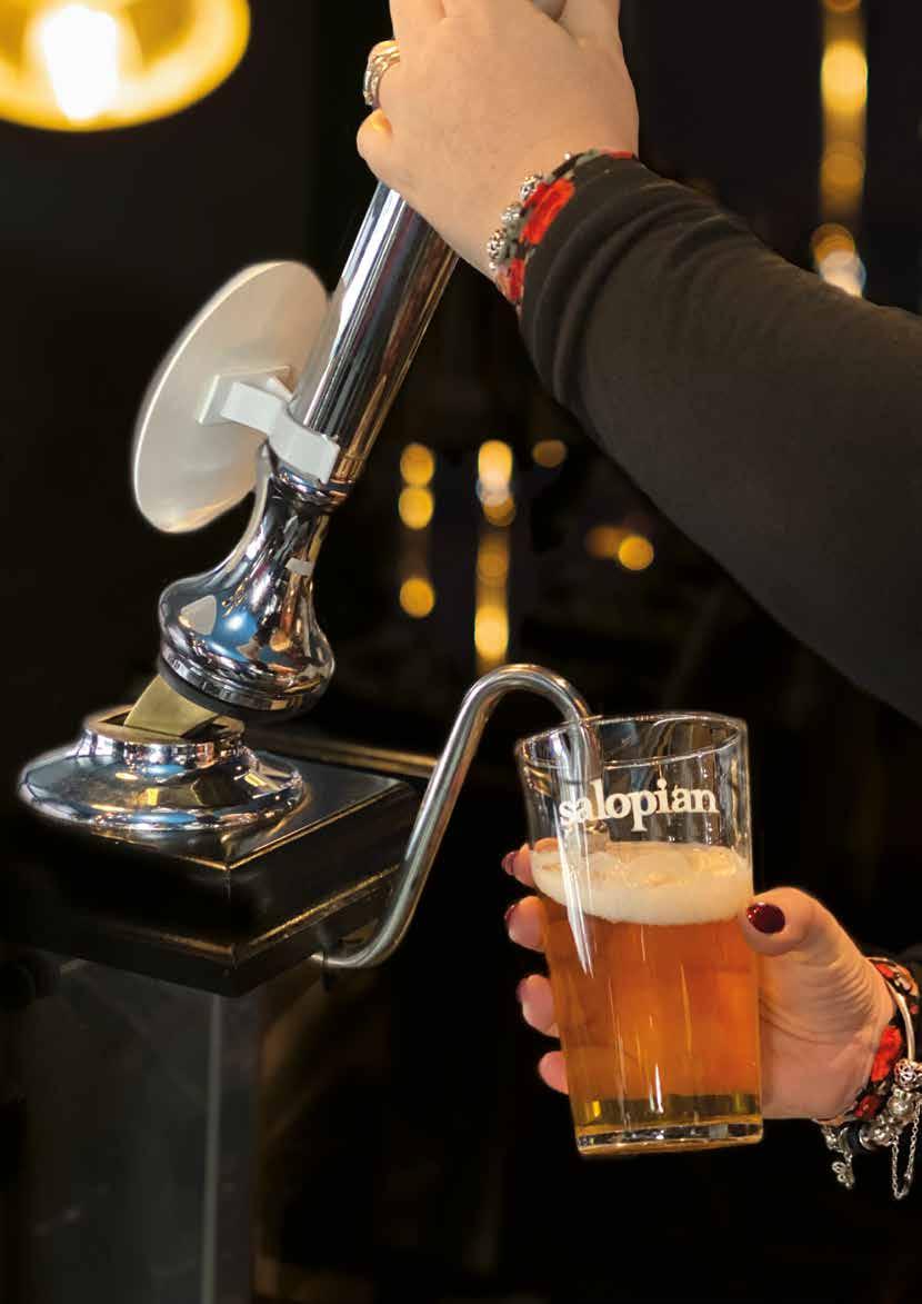 Salopian Trade Brochure - Core Range by dexterandfinn - Issuu