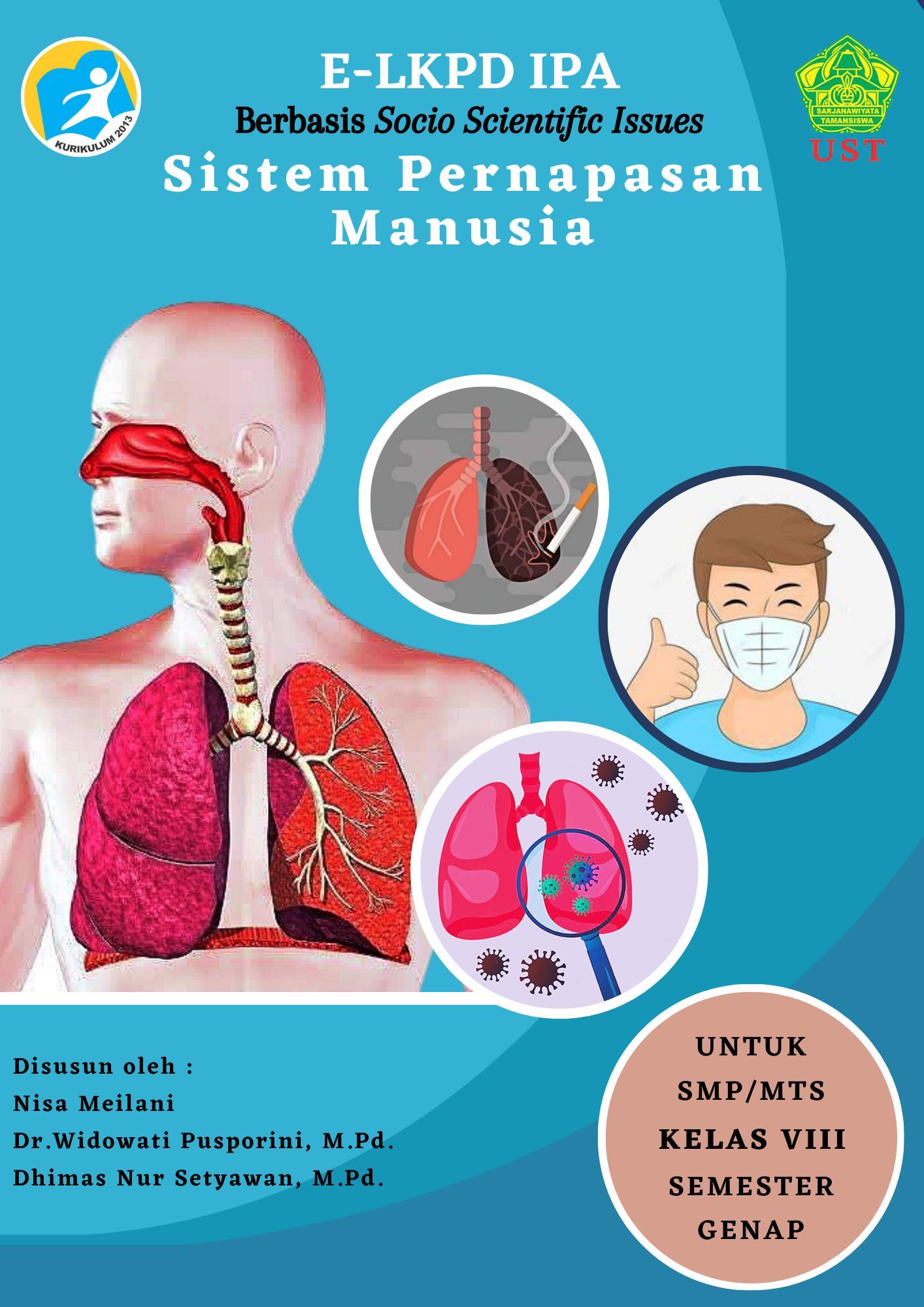 Gambar Sistem Pernapasan Manusia