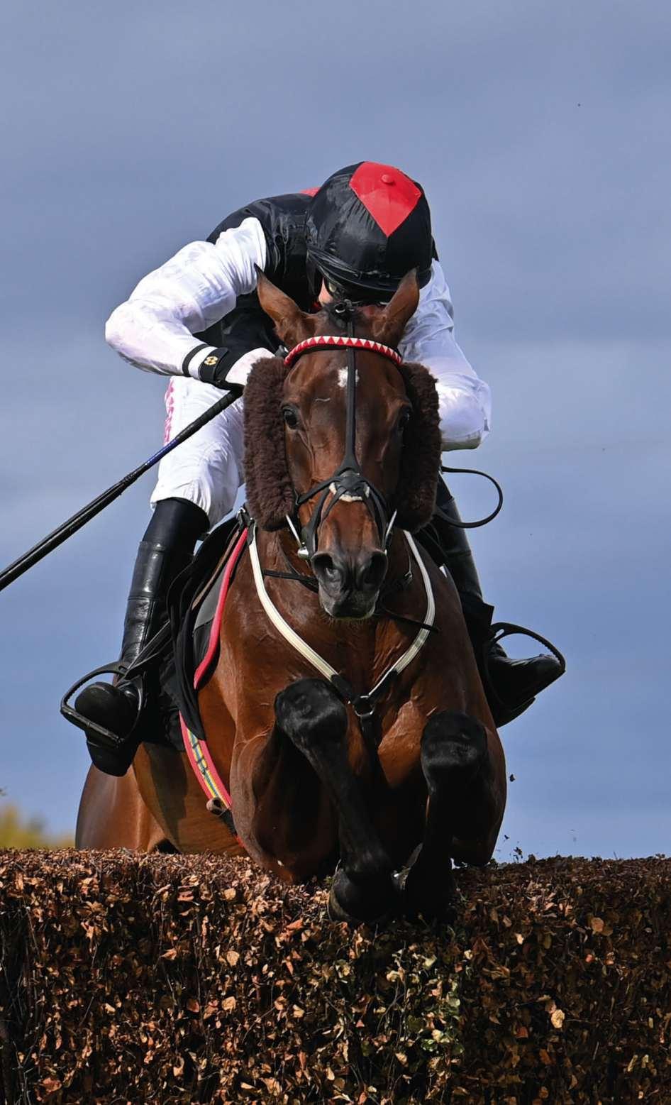 Huntingdon Racecard - Sunday 5th March by Weatherbys - Issuu