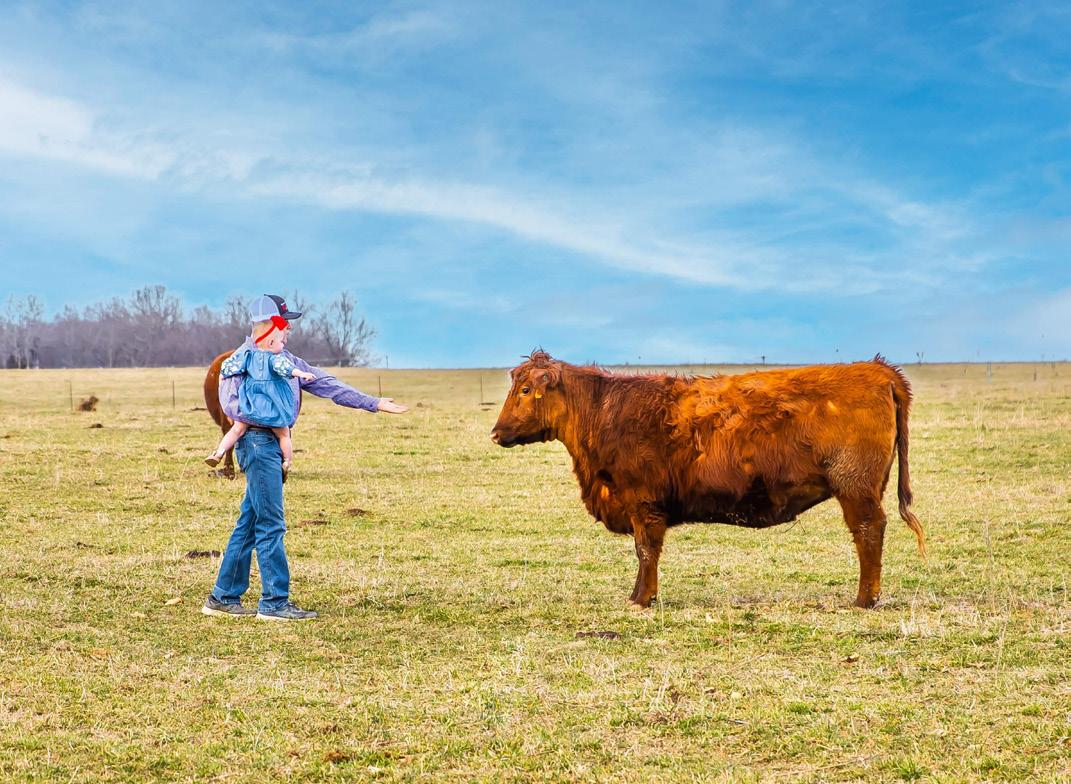 Rogers Cattle Co. & Lile Farms 9th Annual Herd Builder Sale by ...