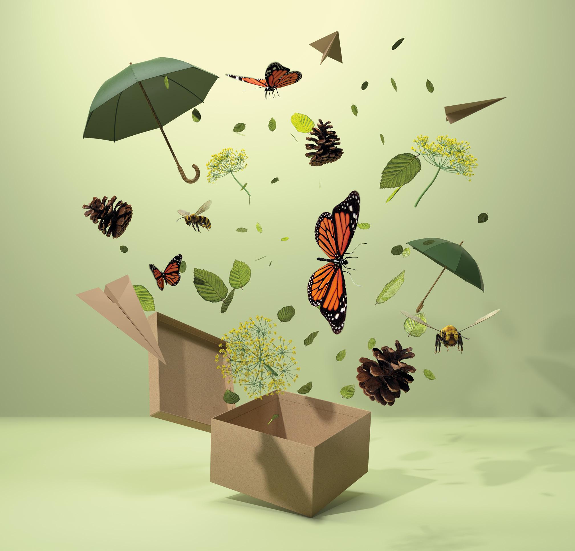 Scanlux Corporate Presentation by Scanlux Packaging - Issuu