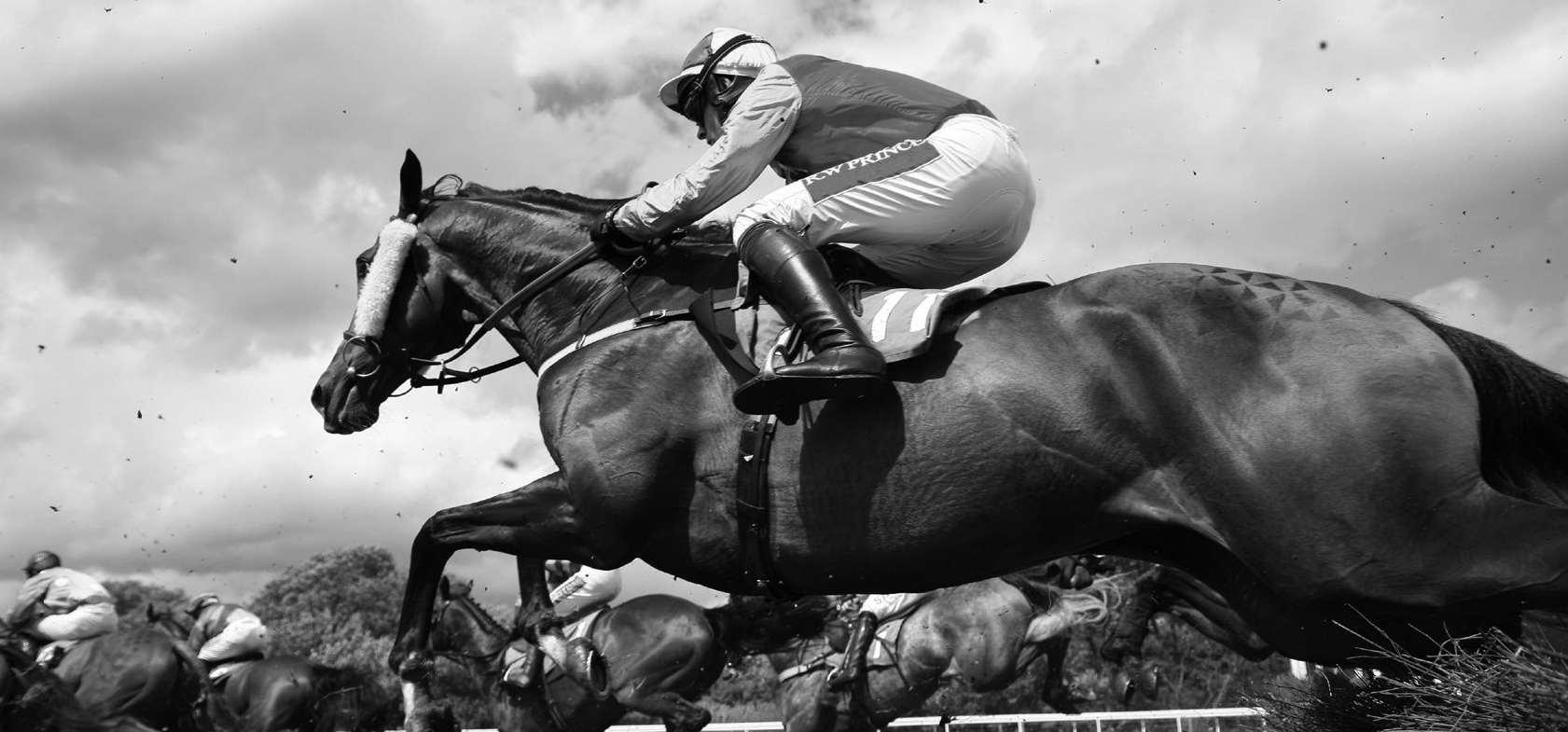 Buccleuch Point-To-Point Racecard - Saturday 11th March by Weatherbys ...