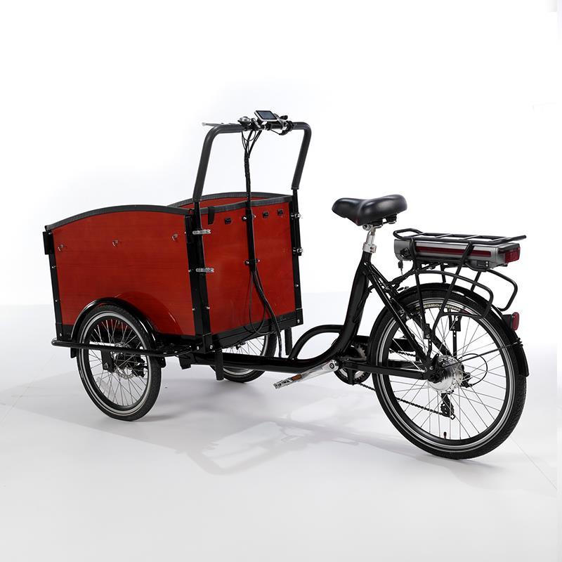 Buy Classic Electric Dutch Cargo Tricycle Online | Mobilityscootrike ...