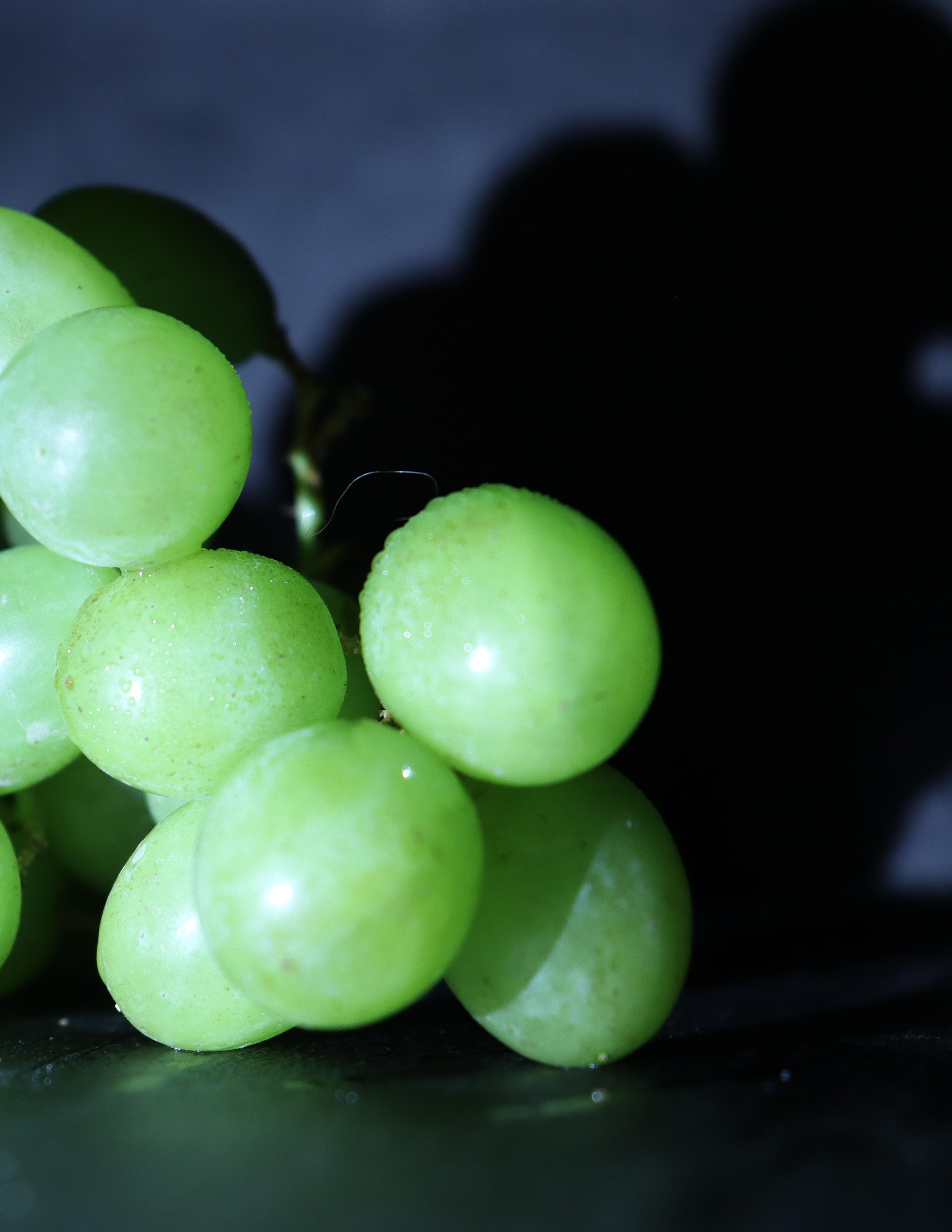 Revista Uva Verde by Luis Santos - Issuu