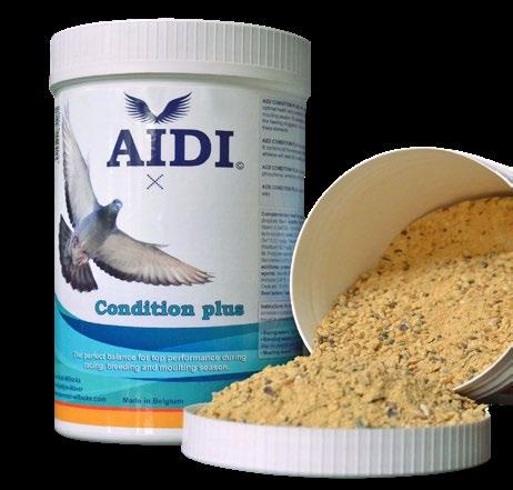AIDI Condition Plus Minerals - Issuu