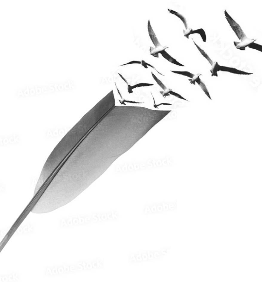 Catàleg Formació i Orientació Personal i Professional - ESO 2023 by Editorial Editex - Issuu