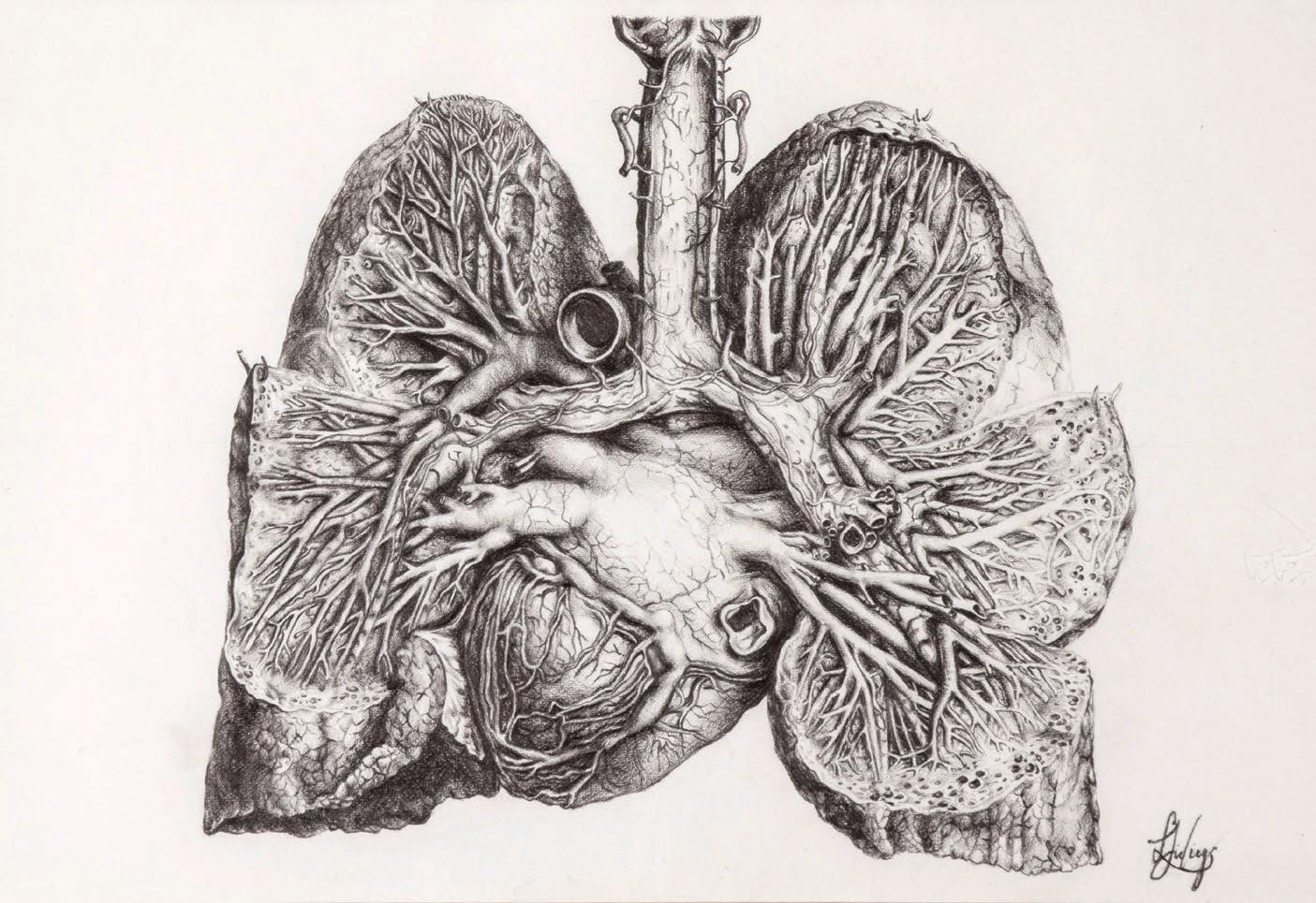 RCSI Anatomy Room Gallery by RCSI - Issuu
