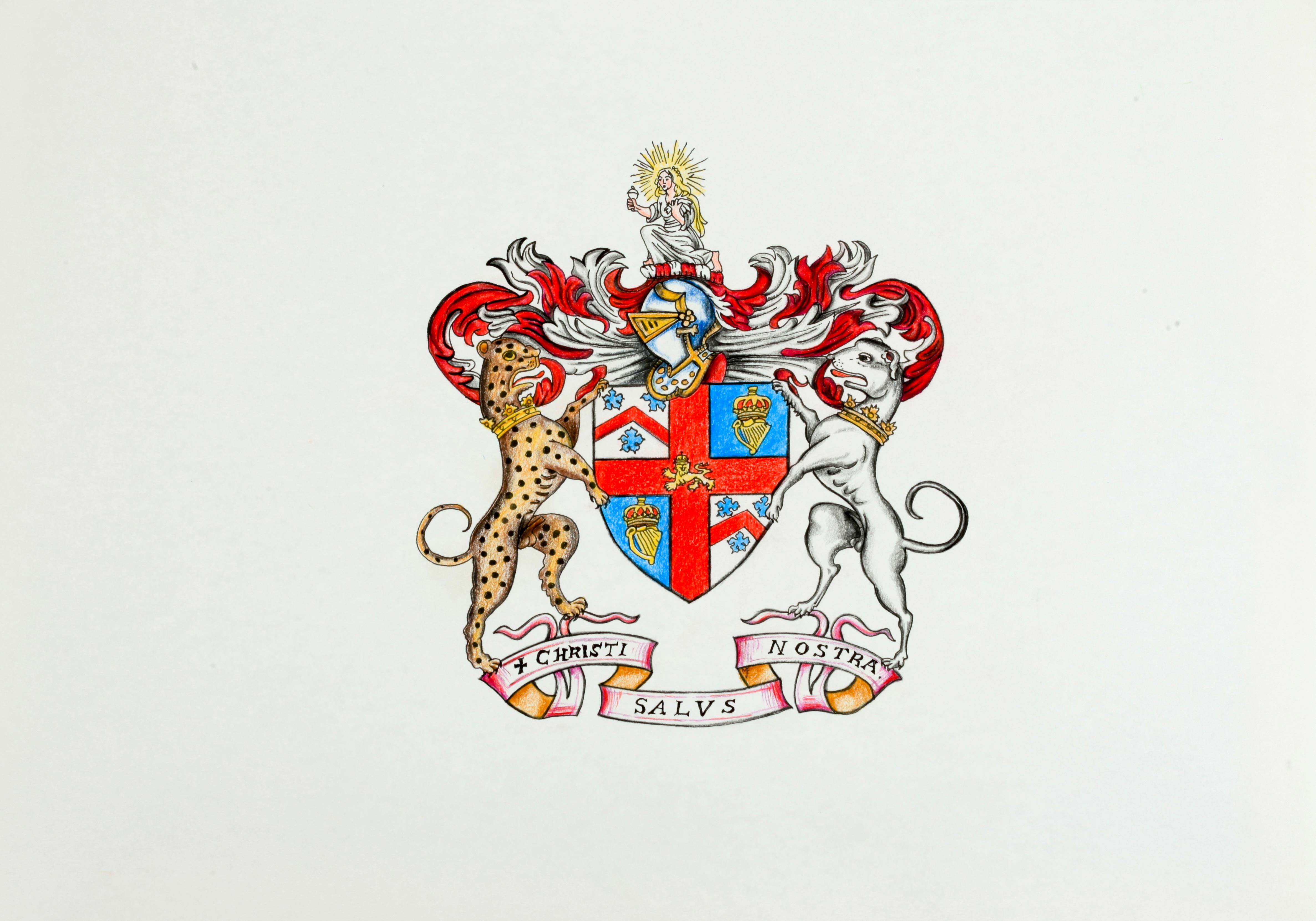 RCSI Anatomy Room Gallery by RCSI - Issuu