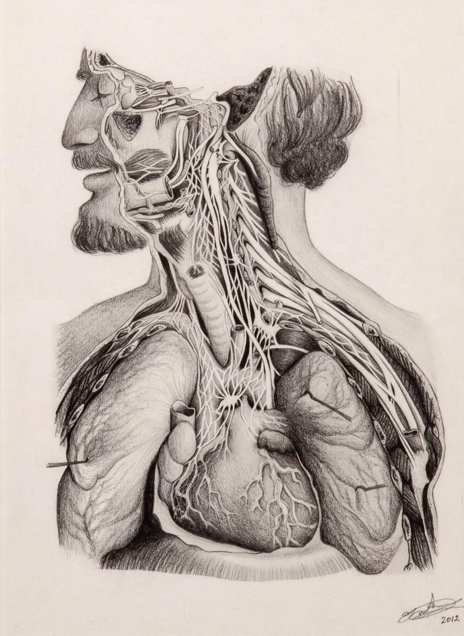 RCSI Anatomy Room Gallery by RCSI - Issuu