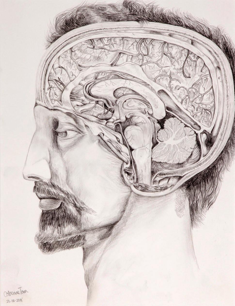 RCSI Anatomy Room Gallery by RCSI - Issuu