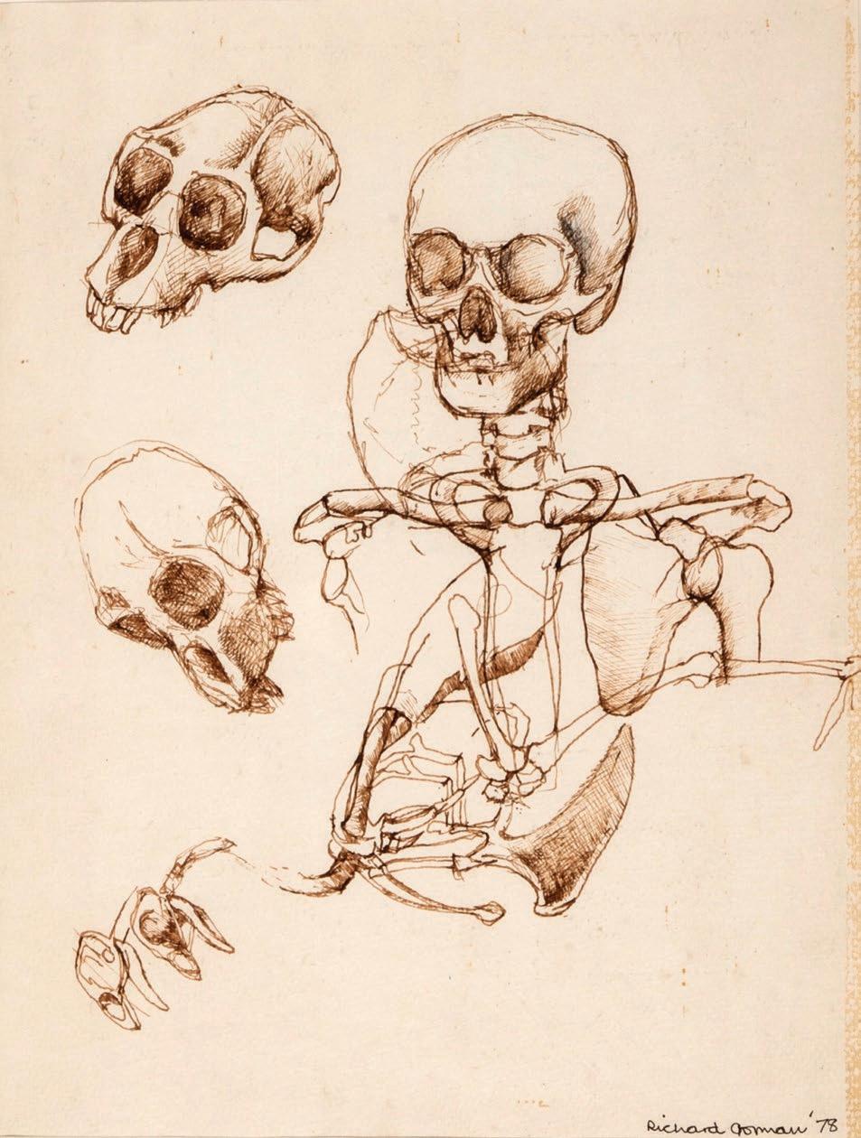 RCSI Anatomy Room Gallery by RCSI - Issuu