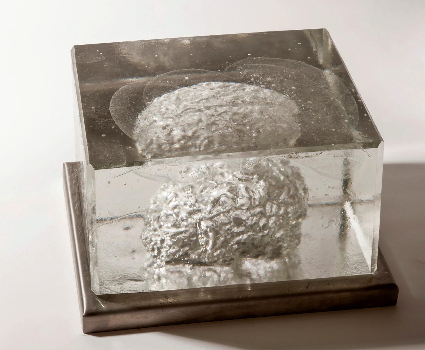 RCSI Anatomy Room Gallery by RCSI - Issuu