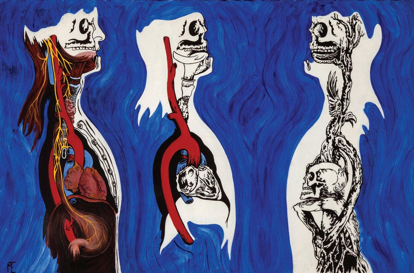 RCSI Anatomy Room Gallery by RCSI - Issuu