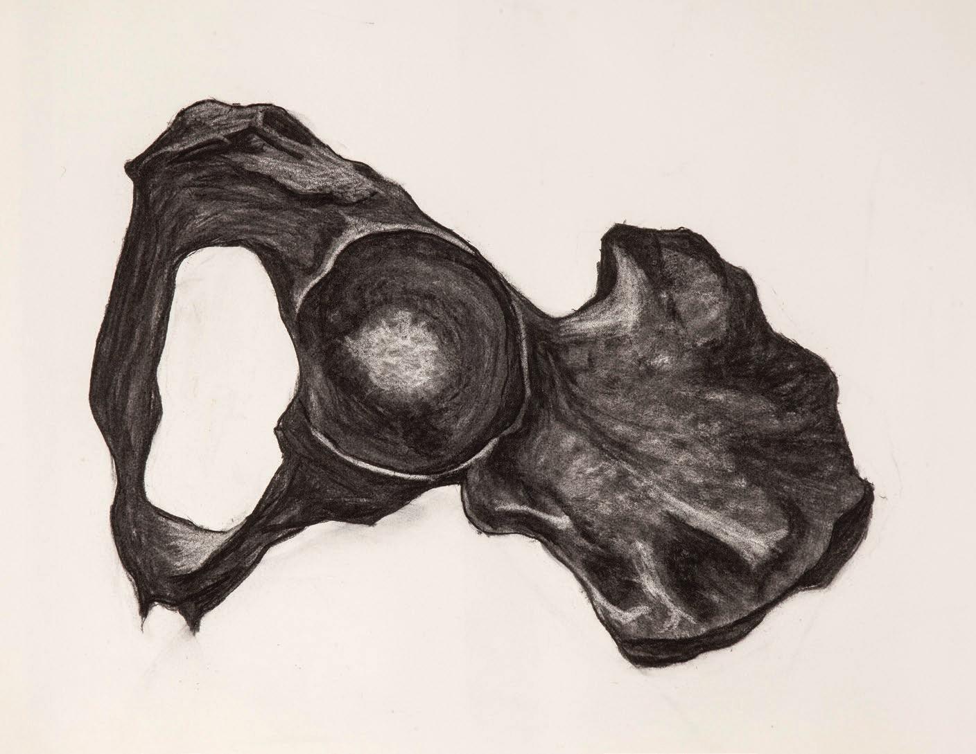 RCSI Anatomy Room Gallery by RCSI - Issuu