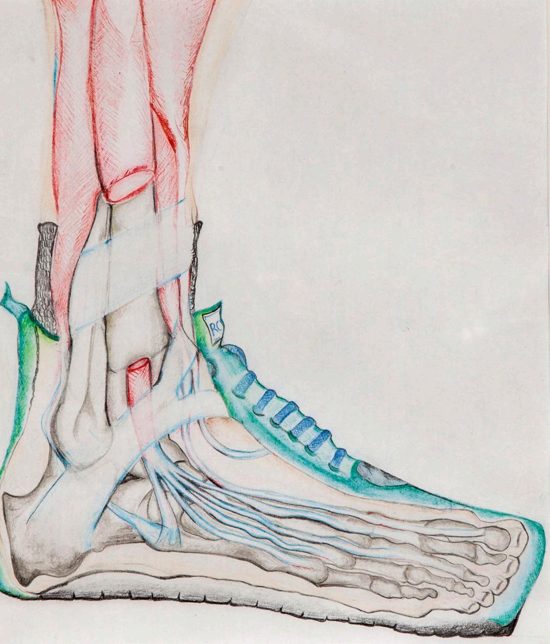 RCSI Anatomy Room Gallery by RCSI - Issuu