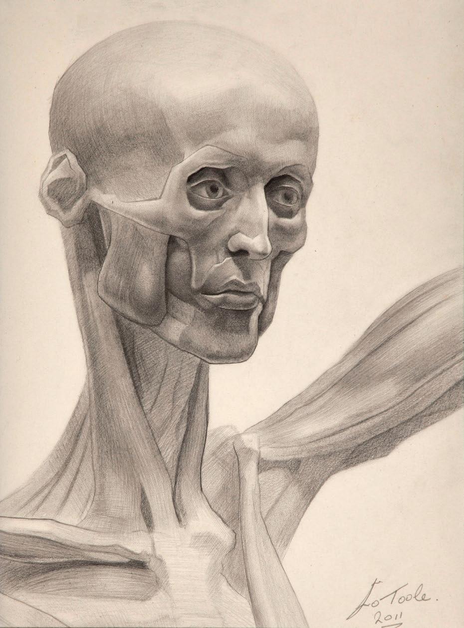RCSI Anatomy Room Gallery by RCSI - Issuu