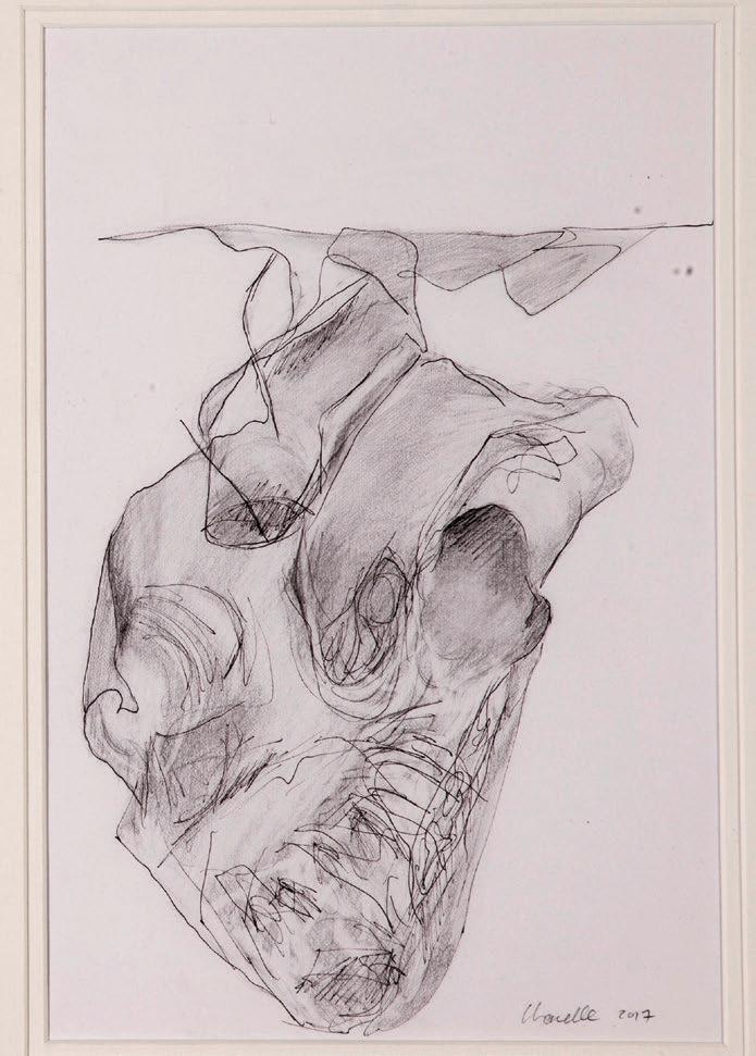 RCSI Anatomy Room Gallery by RCSI - Issuu