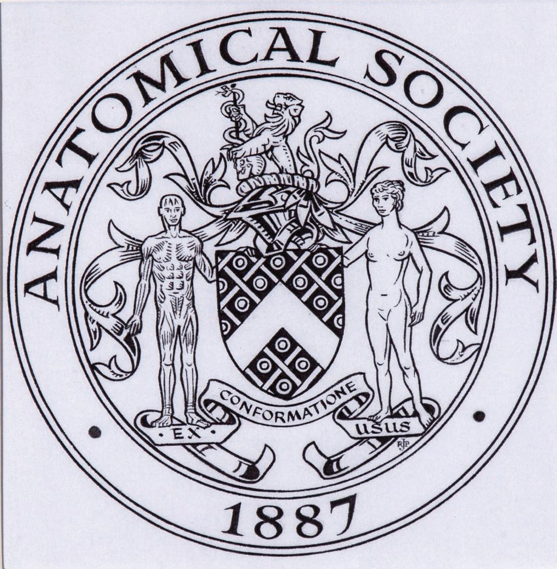 RCSI Anatomy Room Gallery by RCSI - Issuu