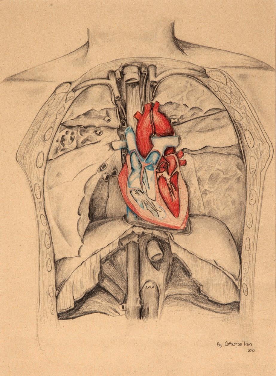 RCSI Anatomy Room Gallery by RCSI - Issuu