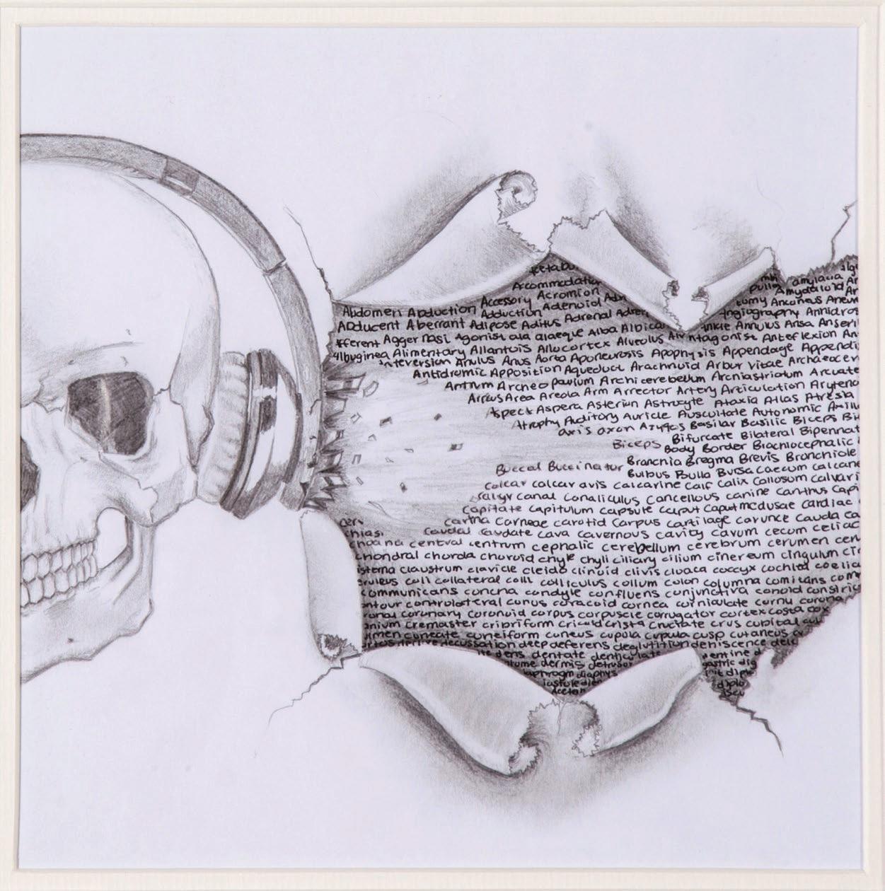 RCSI Anatomy Room Gallery by RCSI - Issuu