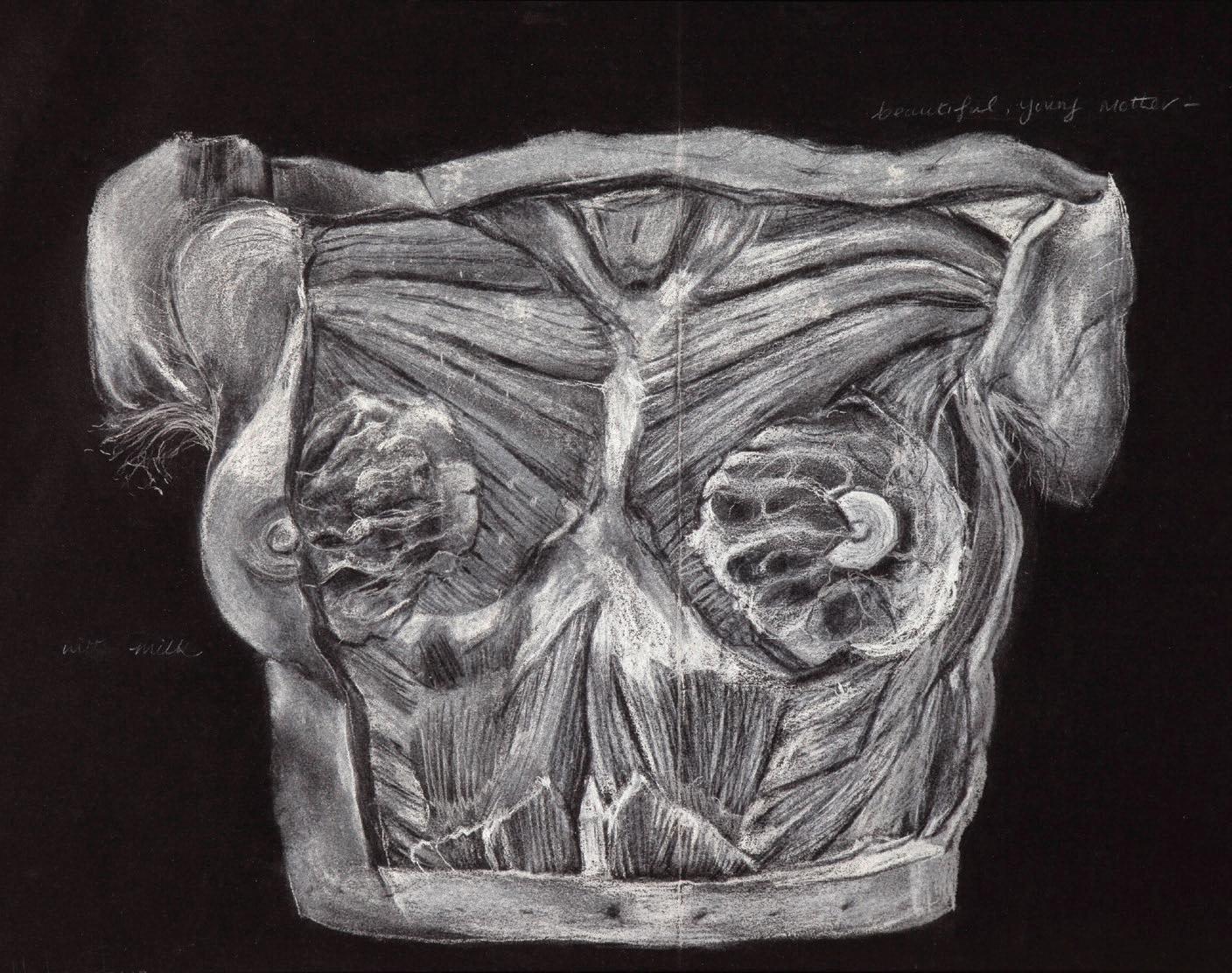 RCSI Anatomy Room Gallery by RCSI - Issuu