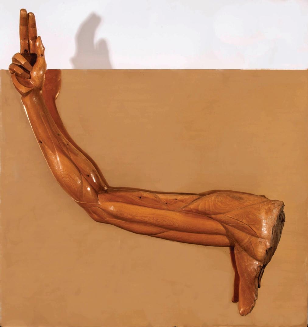 RCSI Anatomy Room Gallery by RCSI - Issuu