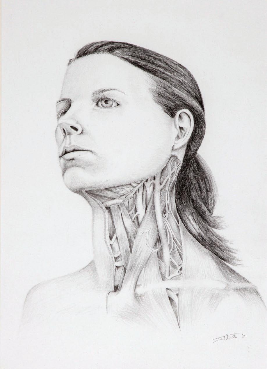 RCSI Anatomy Room Gallery by RCSI - Issuu
