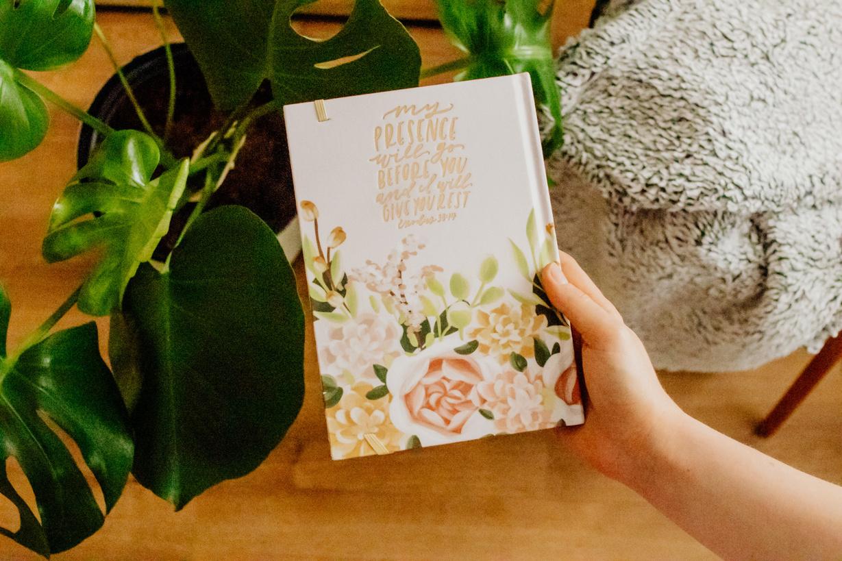 Loveall Design Co. | Brand Book by Jewel Branding & Licensing - Issuu