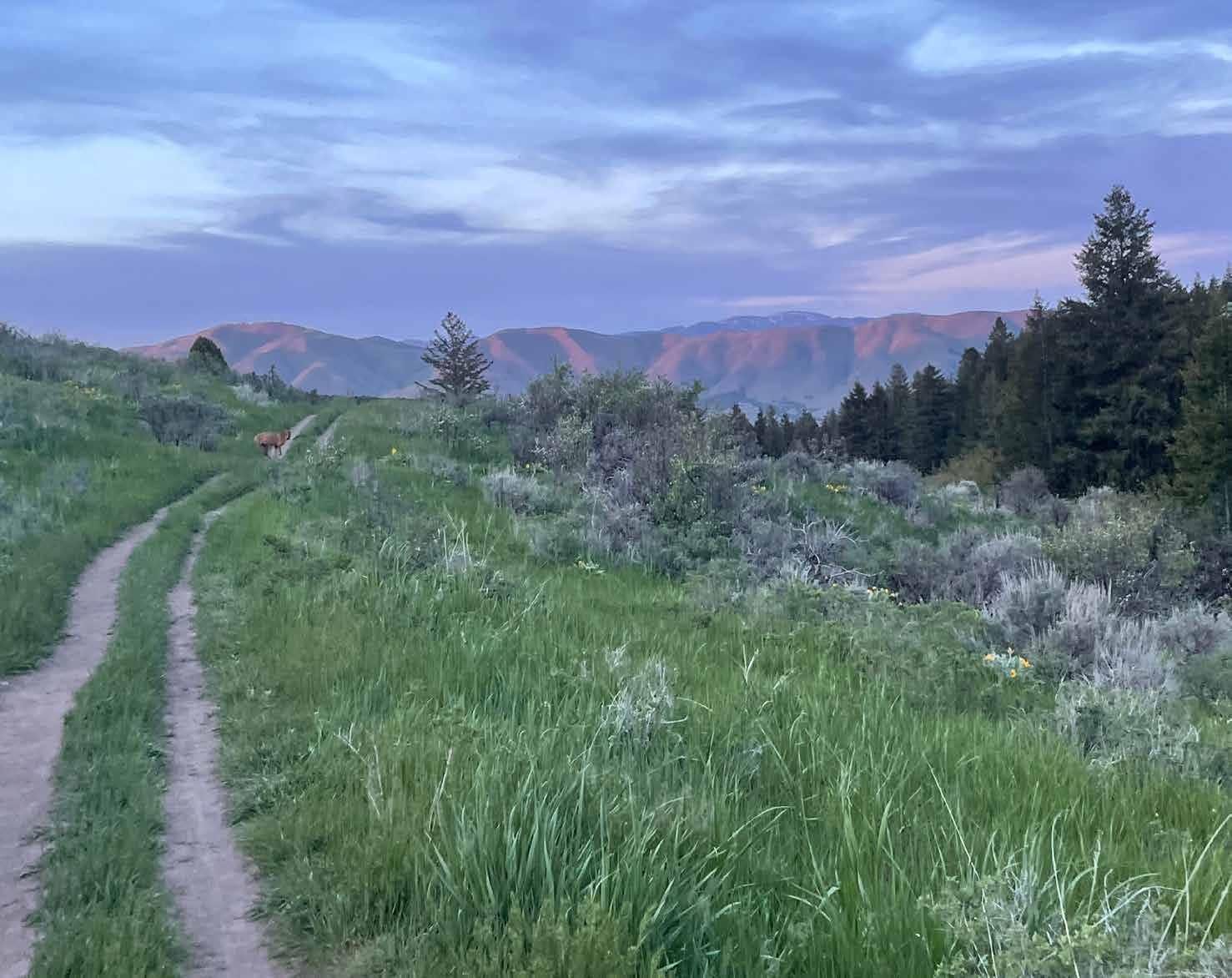 Experience Southeast Idaho by Southeast Idaho High Country Tourism - Issuu