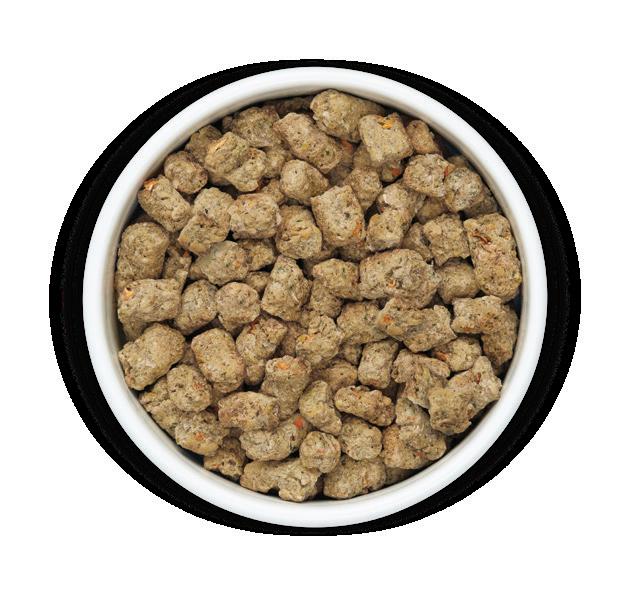 Retailer Guide by The Honest Kitchen - Issuu