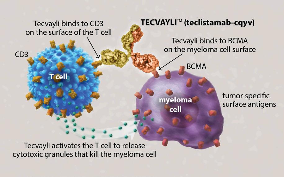 Understanding Tecvayli™ (teclistmab-cqyv) by International Myeloma ...