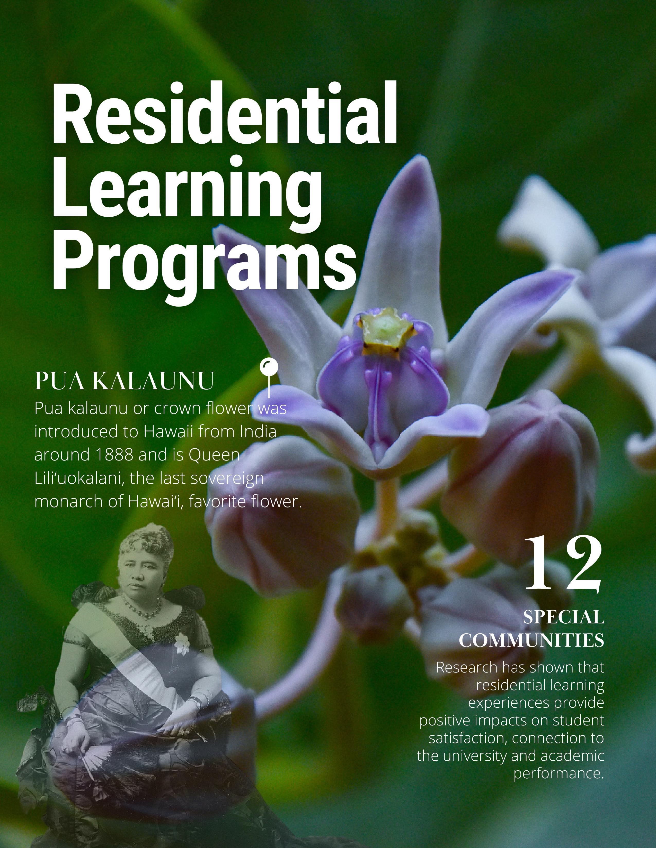 Residential Learning Programs (RLP) by reslifeuhm - Issuu