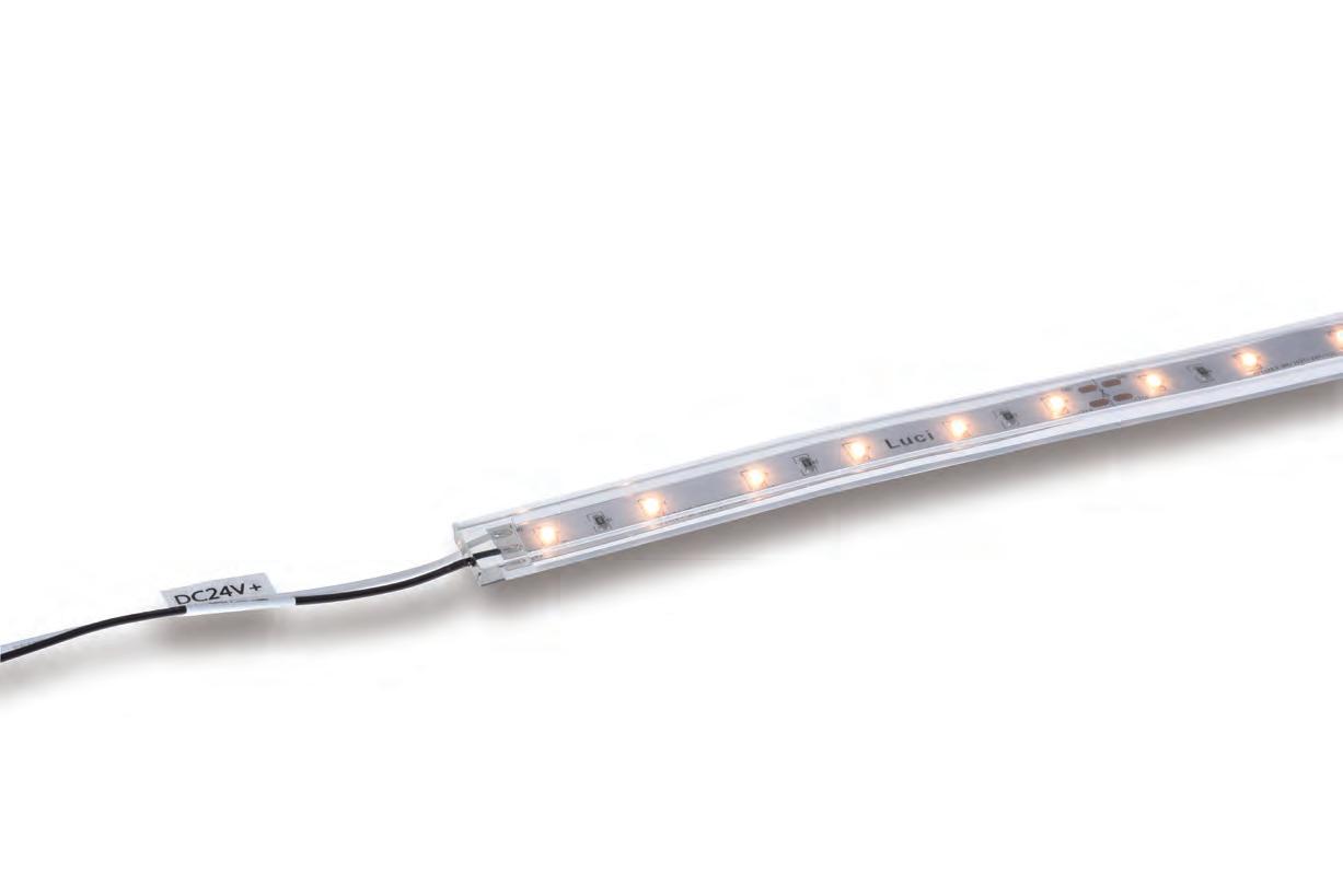 Luci LED Lighting Catalog 2023 by Luci Pte. Ltd. official - Issuu