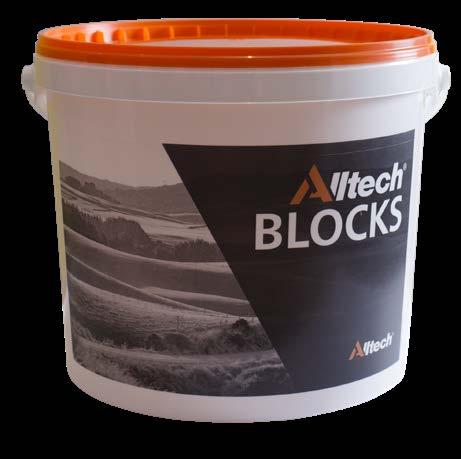 Alltech Block - Issuu