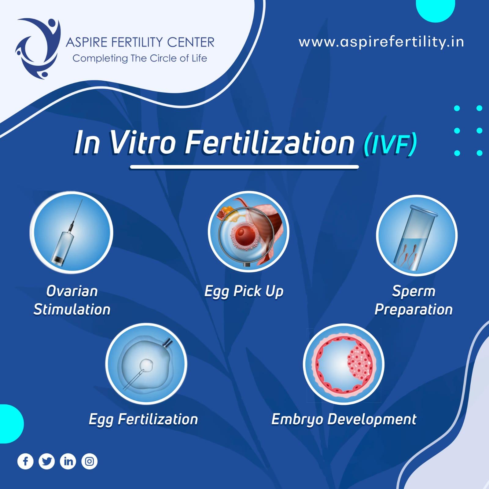 An Overview of the IVF Process - Issuu